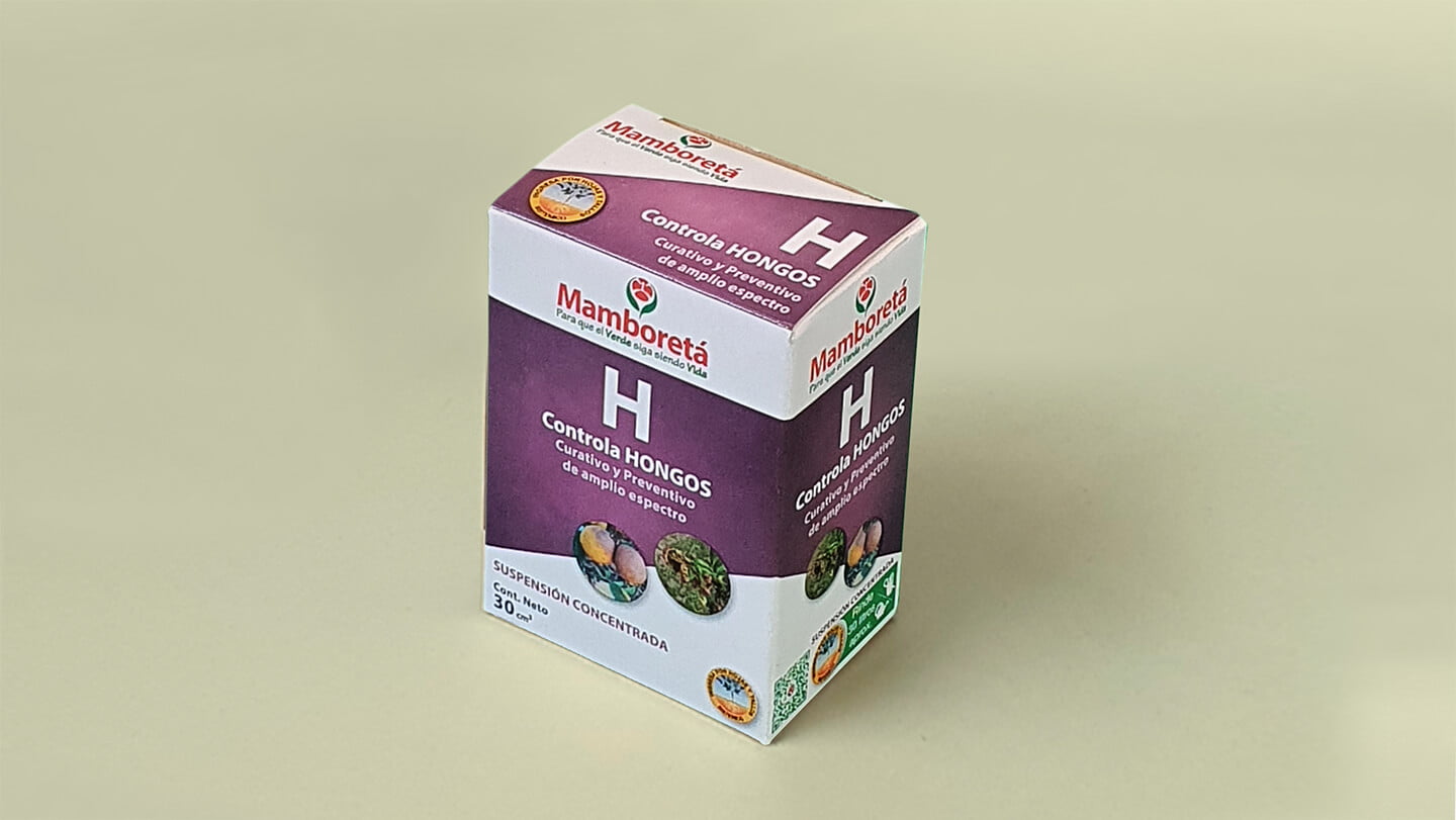 Mamboreta H 30cc – Mamboreta – Trico Seeds